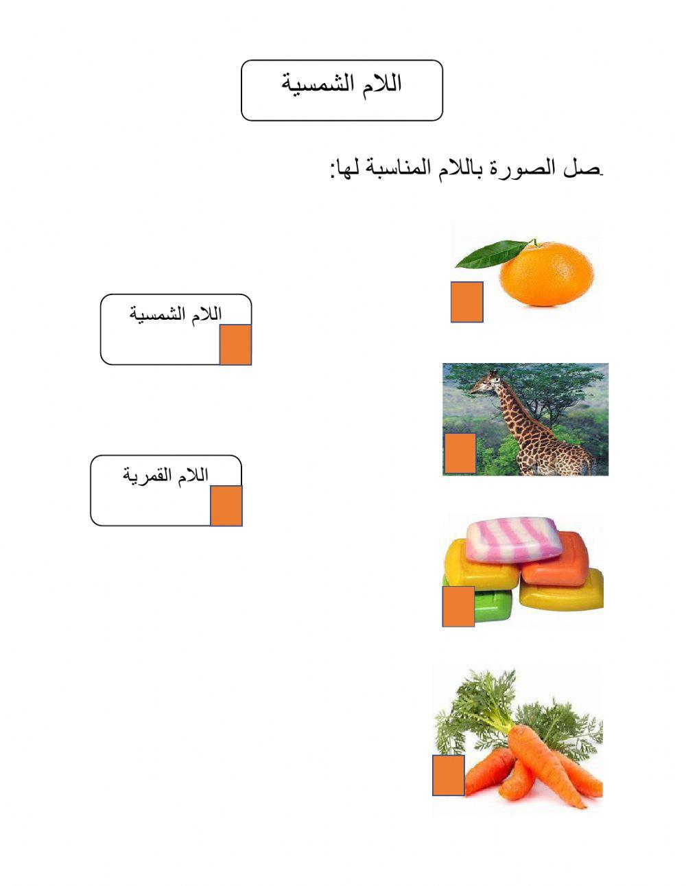 اللام القمرية و الشمسية 277329 | shamma saeed aljaberi