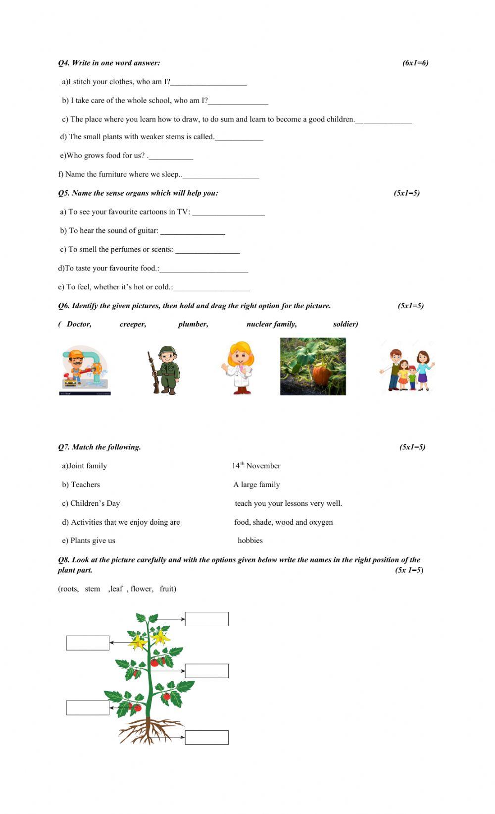 Evs interactive worksheet | Live Worksheets