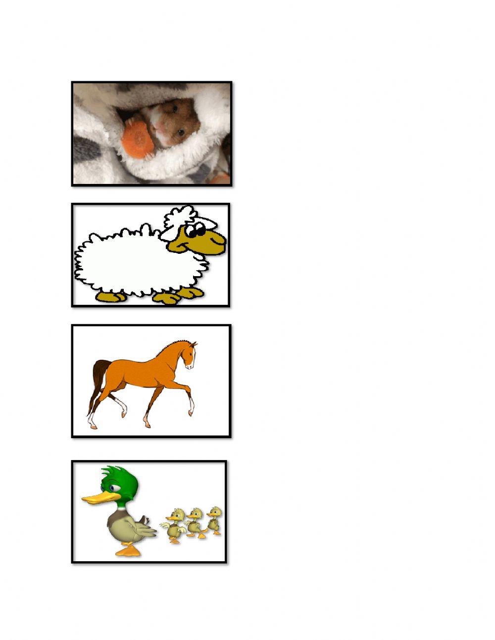 Palabras Relacionadas worksheet | Live Worksheets