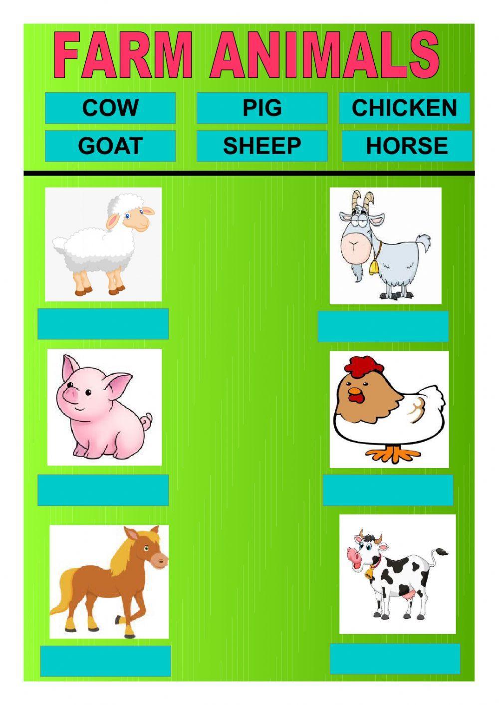 Farm Animals online exercise for Grade 2nd Primary | Live Worksheets