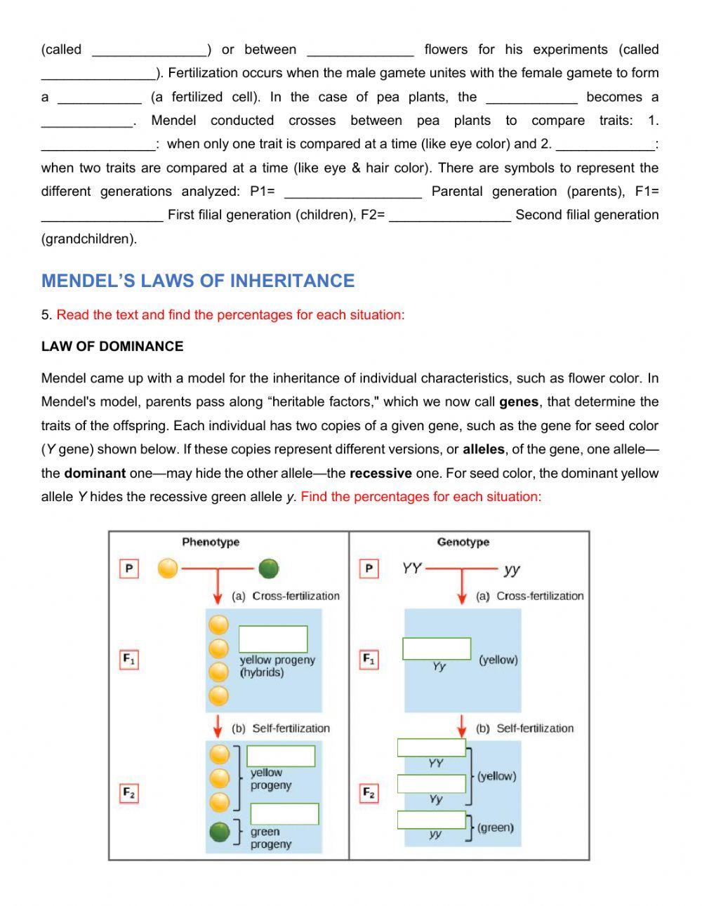 Genetics - Mend… | Free Interactive Worksheets | 279403