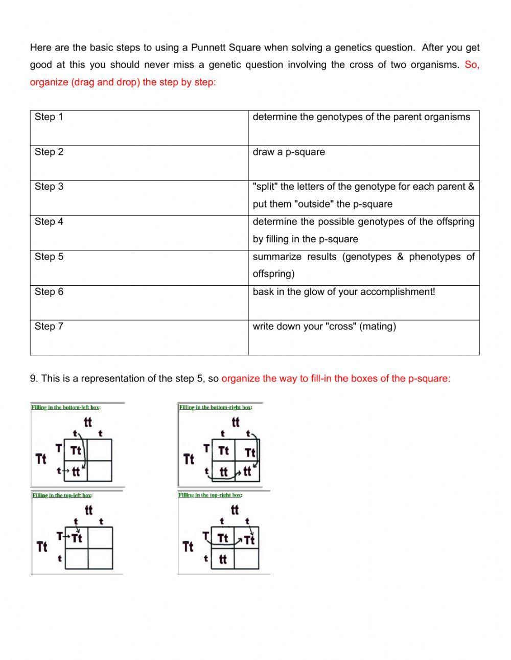 Genetics - Mend… | Free Interactive Worksheets | 279403