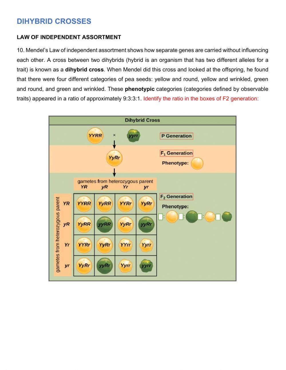 Genetics - Mend… | Free Interactive Worksheets | 279403