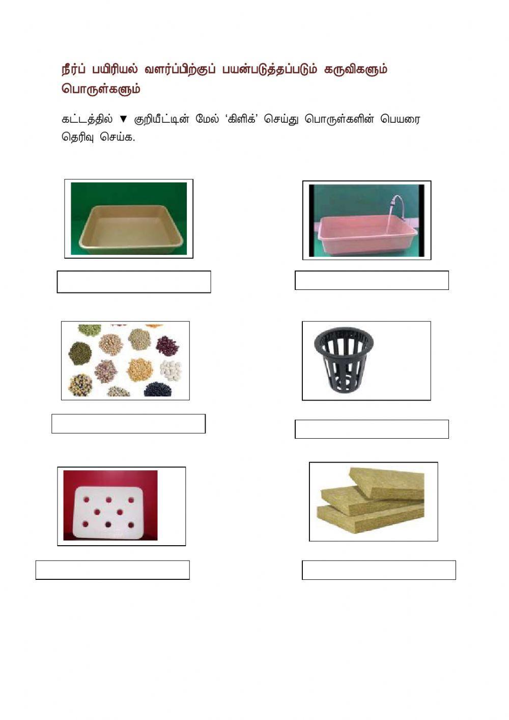 Hydroponic tools | Free Interactive Worksheets | 279796