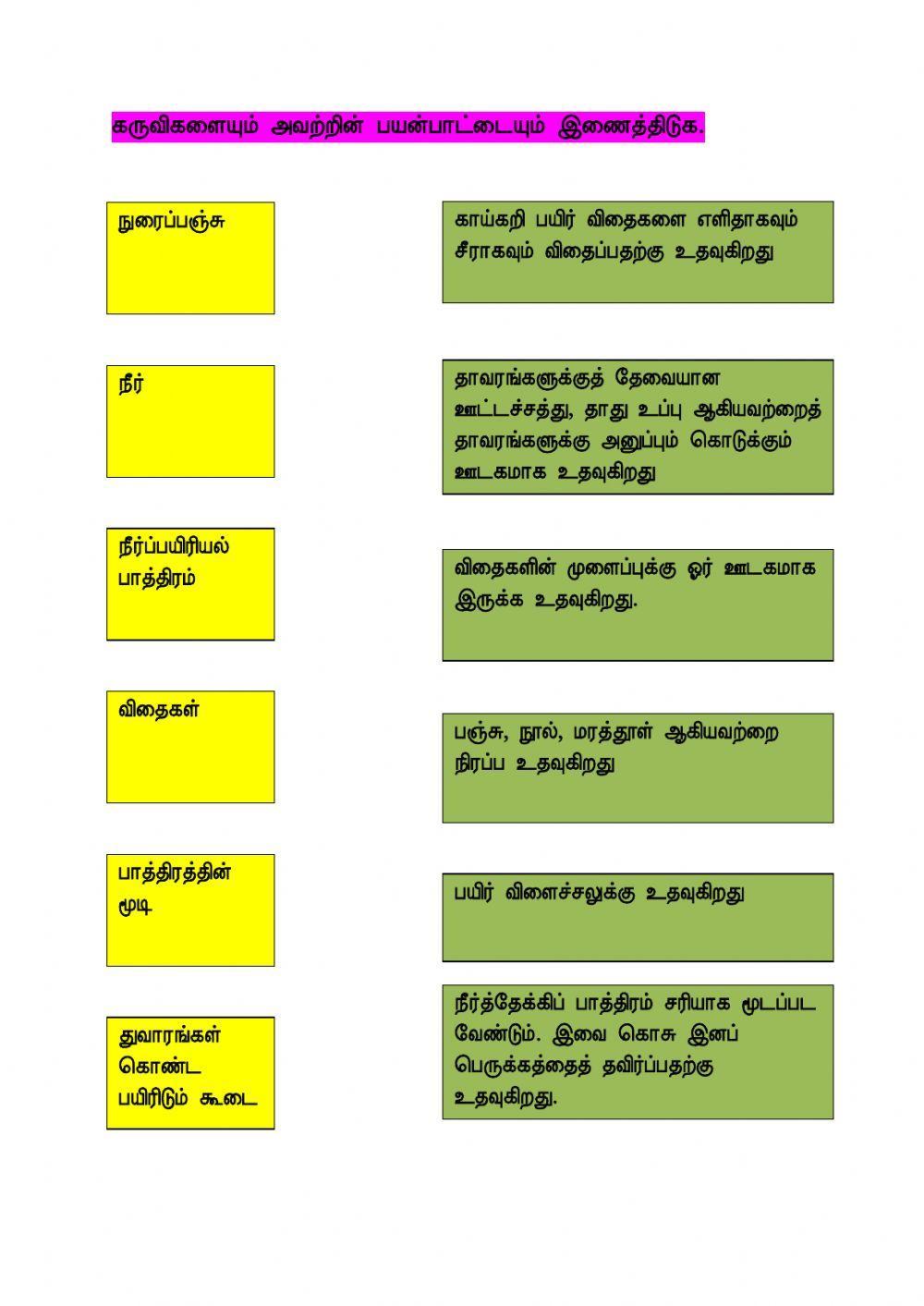 Hydroponic tools | Free Interactive Worksheets | 279796