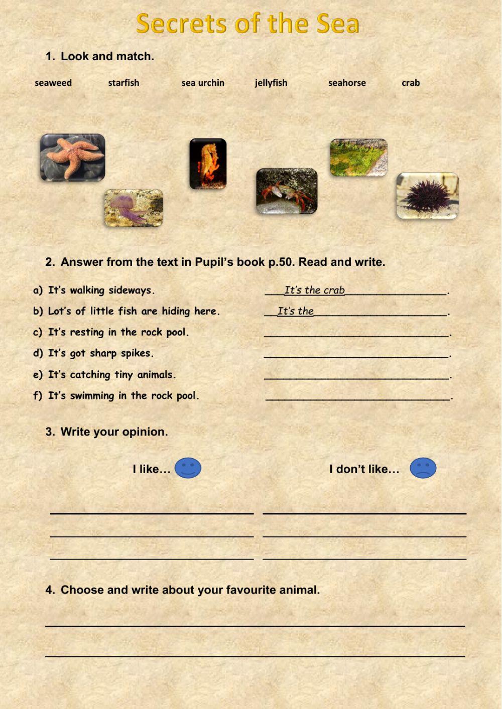 Secrets of the Sea interactive worksheet | Live Worksheets