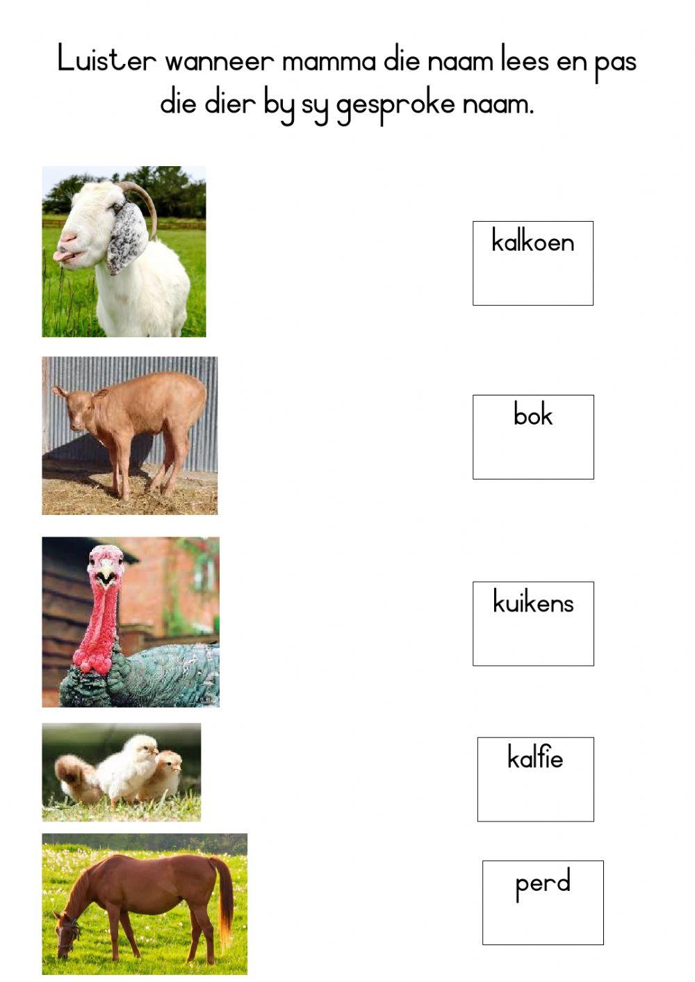 248427 | Plaasdiere | ellenor | LiveWorksheets