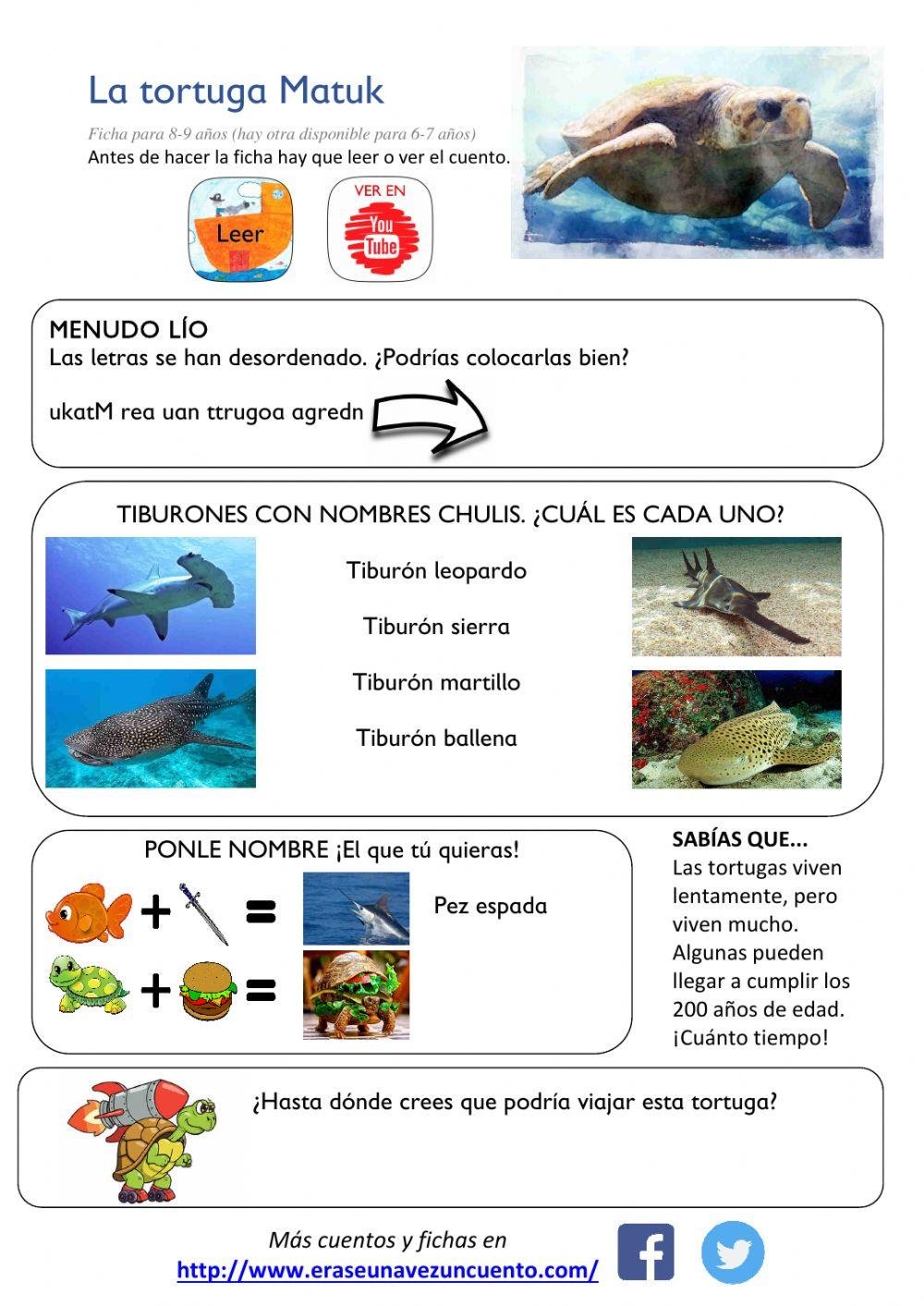 La tortuga Matuk 8-9 años worksheet | Live Worksheets