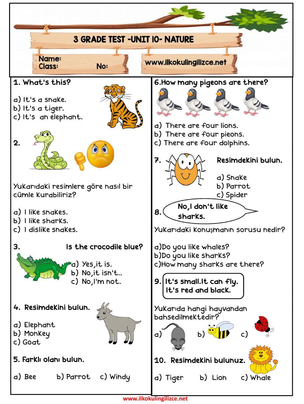 3.Sınıf 10.Ünite Nature Test worksheet | Live Worksheets