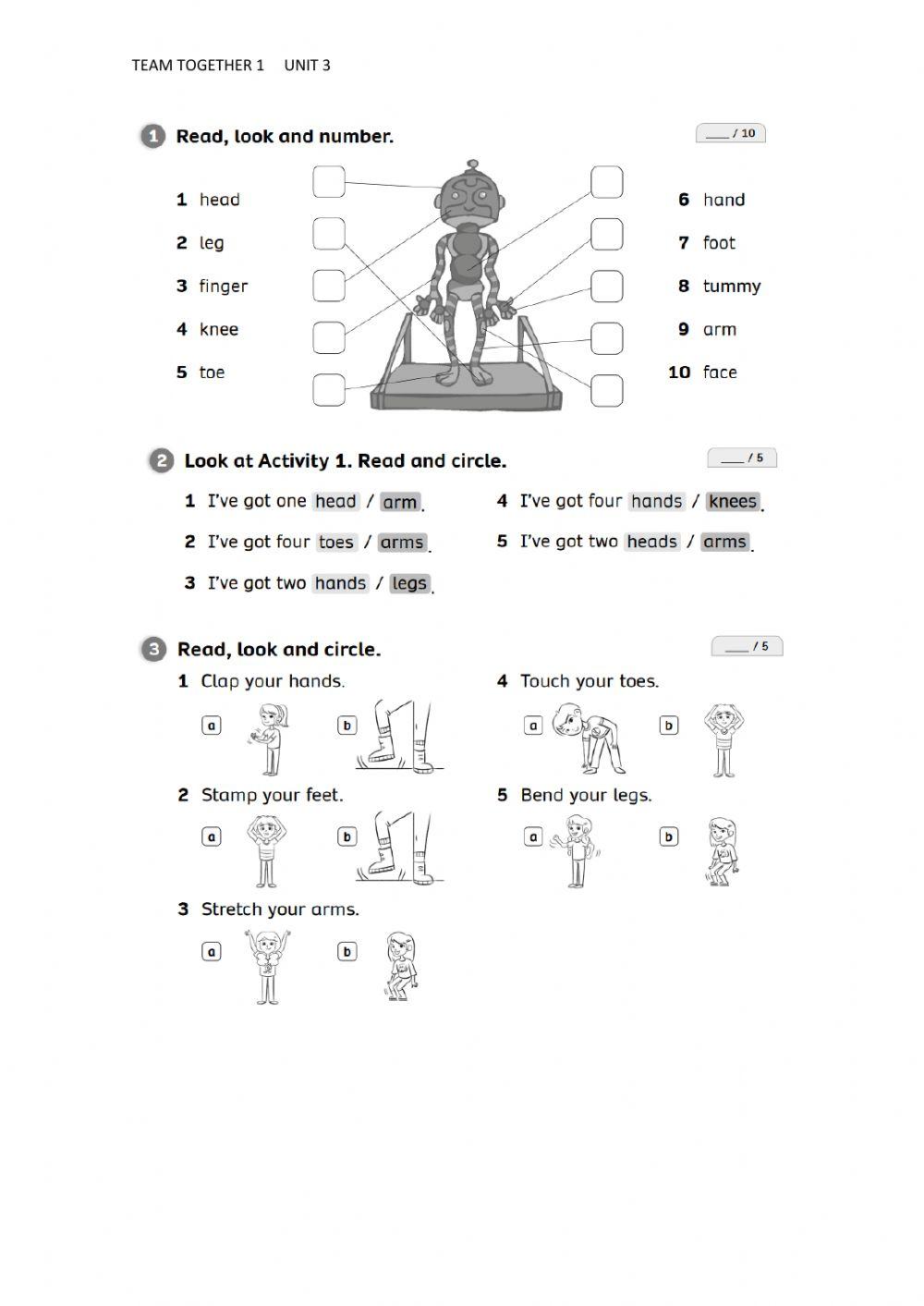 UNIT 3 assessme… | Free Interactive Worksheets | 6886096