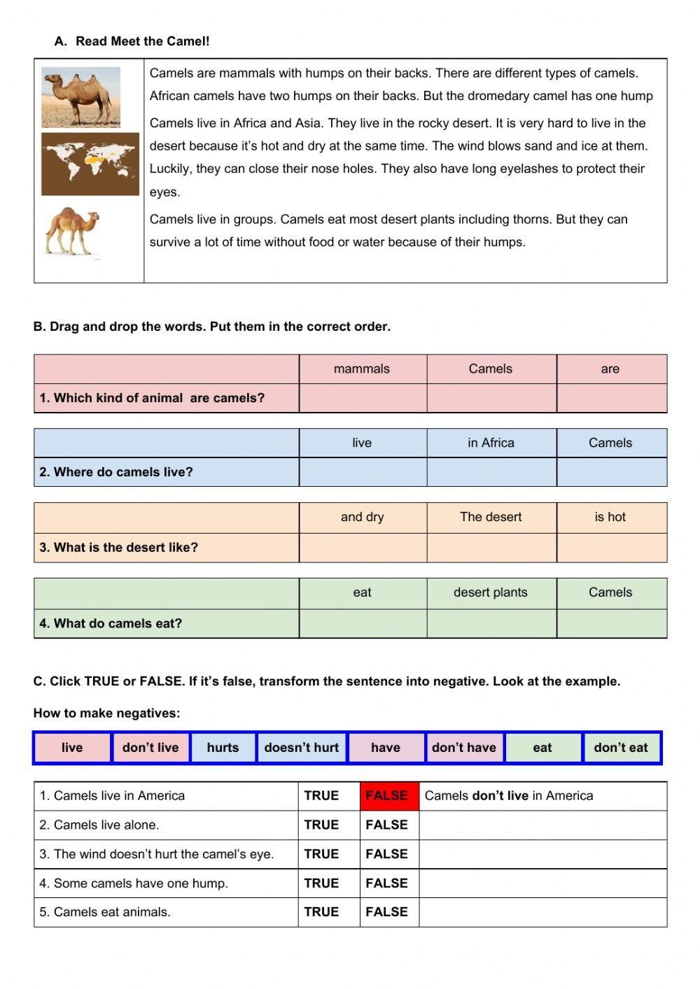 Project: Desert 2 worksheet | Live Worksheets