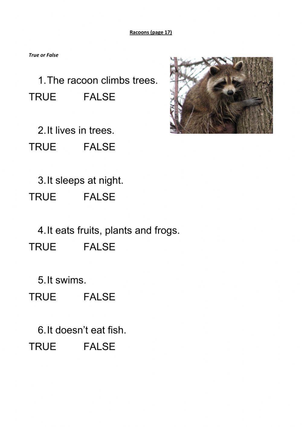 Racoons worksheet | Live Worksheets