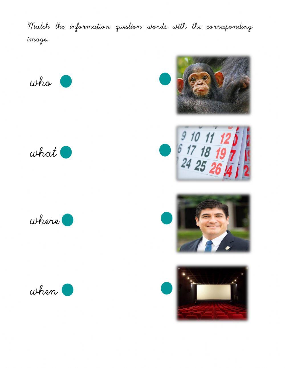 Information question words online exercise for | Live Worksheets