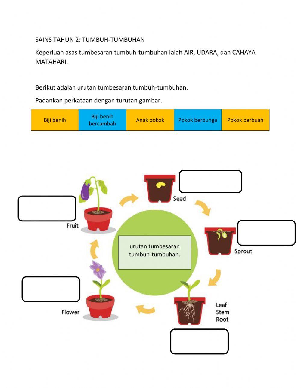 285707 | Sains tahun 2 | Haryani Ibrahim