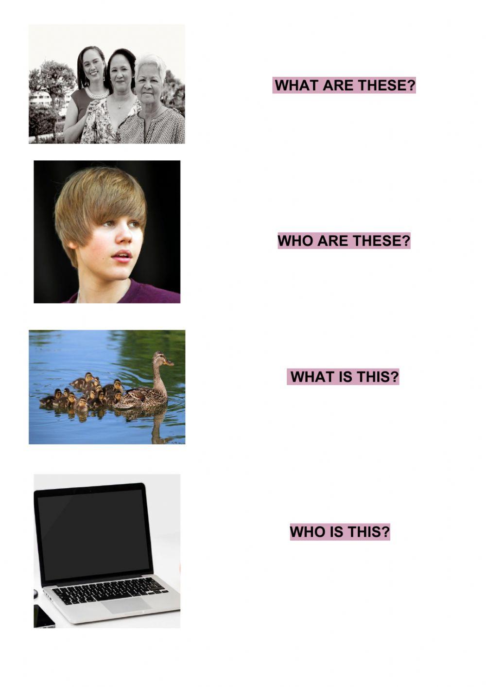 Match interactive worksheet for 2nd grade | Live Worksheets