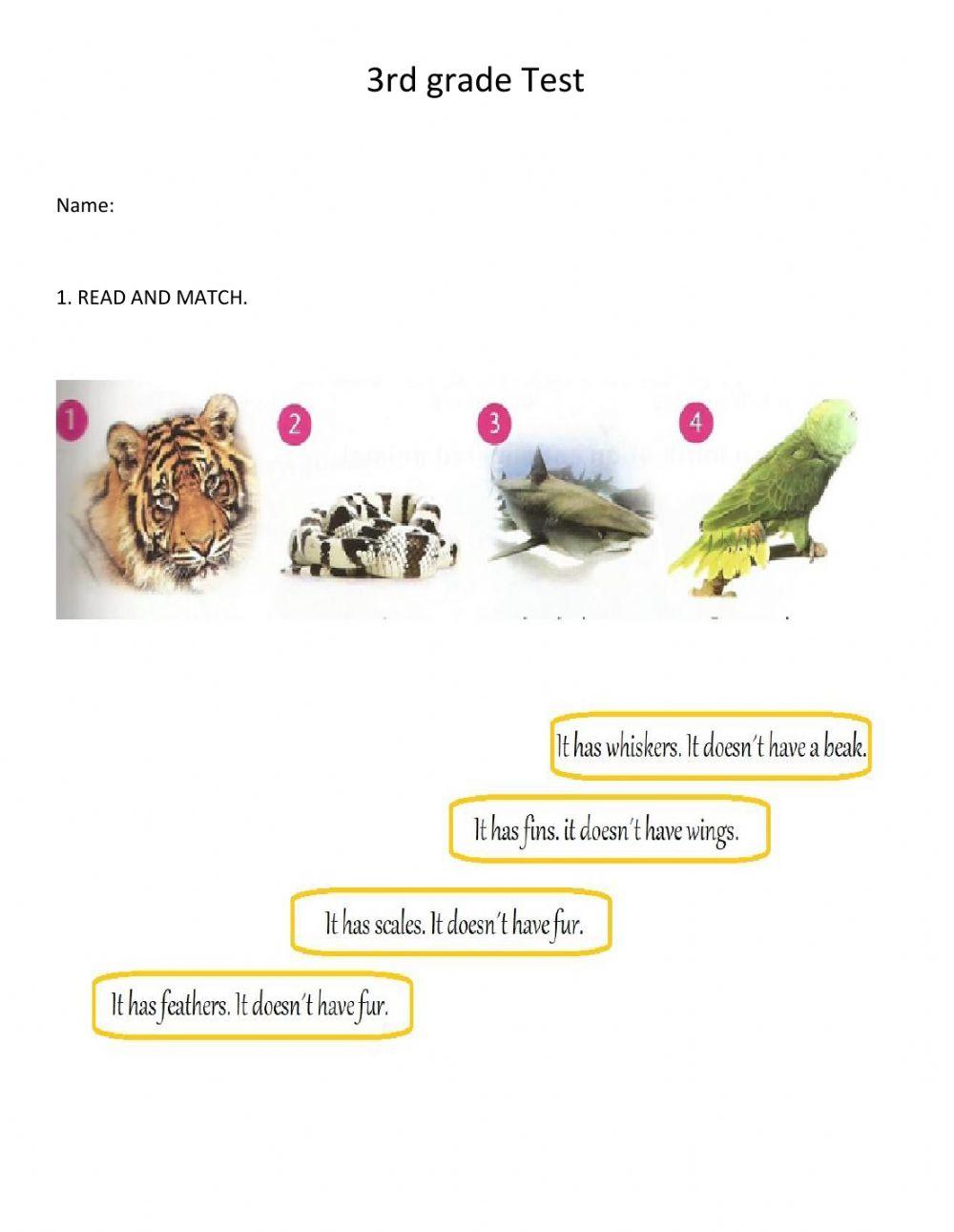 Animals test | Live Worksheets