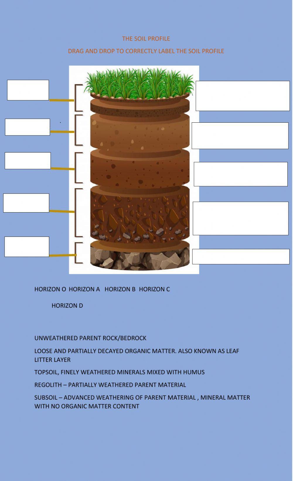 Soil Layers Worksheet