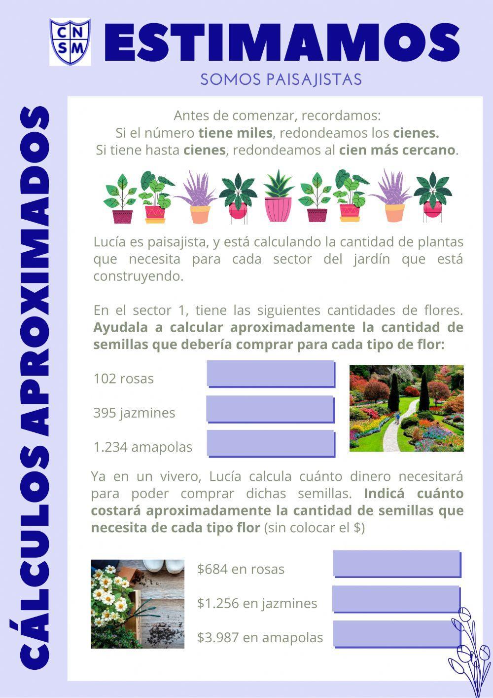Cálculo aproxim… | Free Interactive Worksheets | 286404