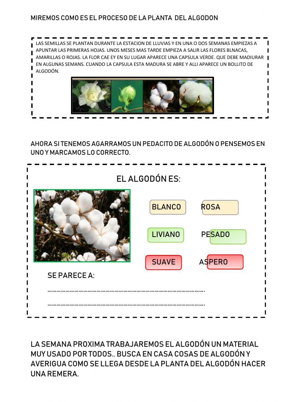 Modulo 14 worksheet | Live Worksheets