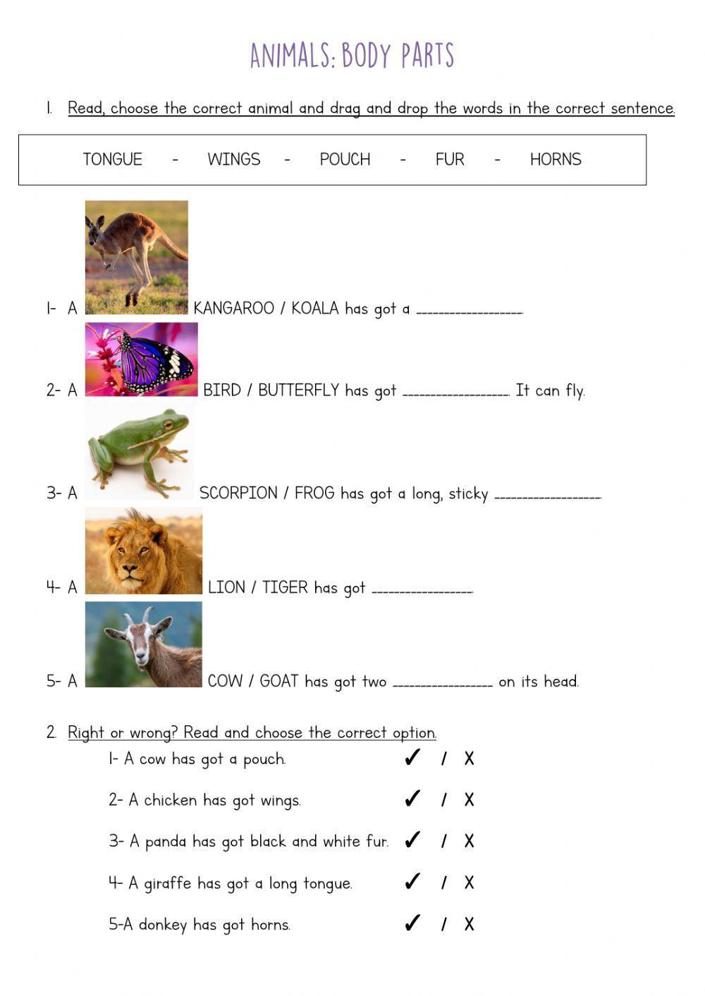 Animals Body Parts Worksheet Live Worksheets animals-body-parts-worksheet-live-worksheets