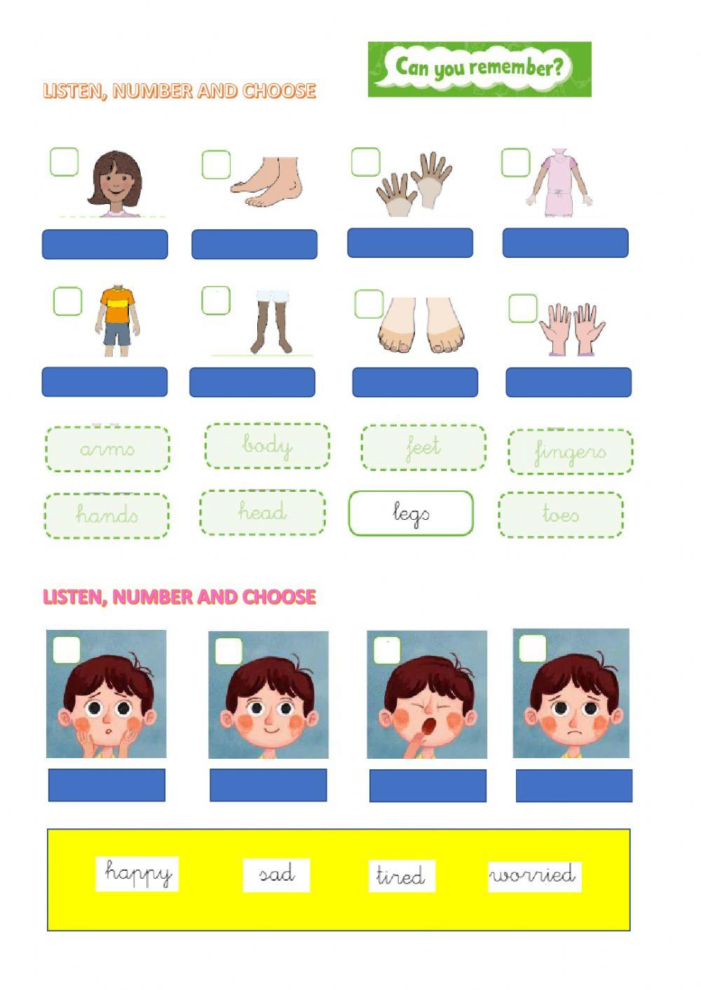 parts of the body | Live Worksheets