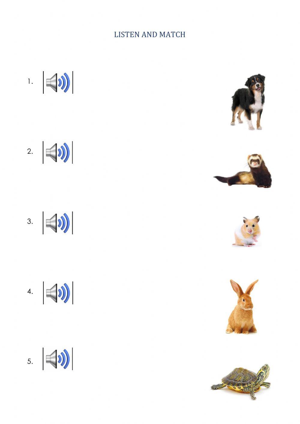 Pets online exercise for Grade 1 | Live Worksheets
