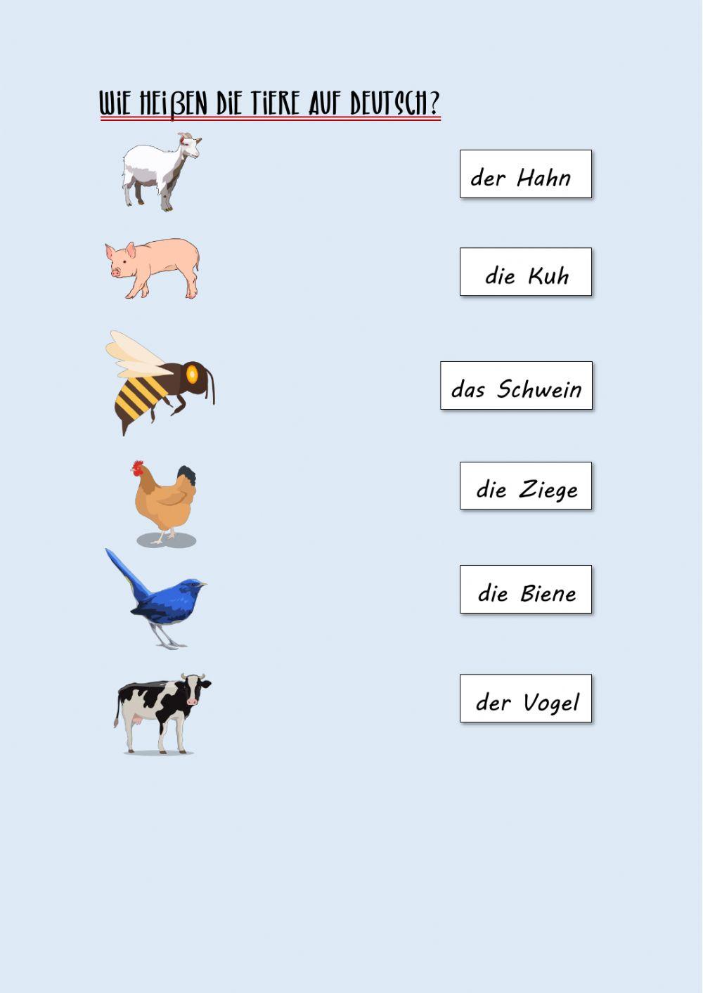 Wie heiβen die Tiere? worksheet | Live Worksheets