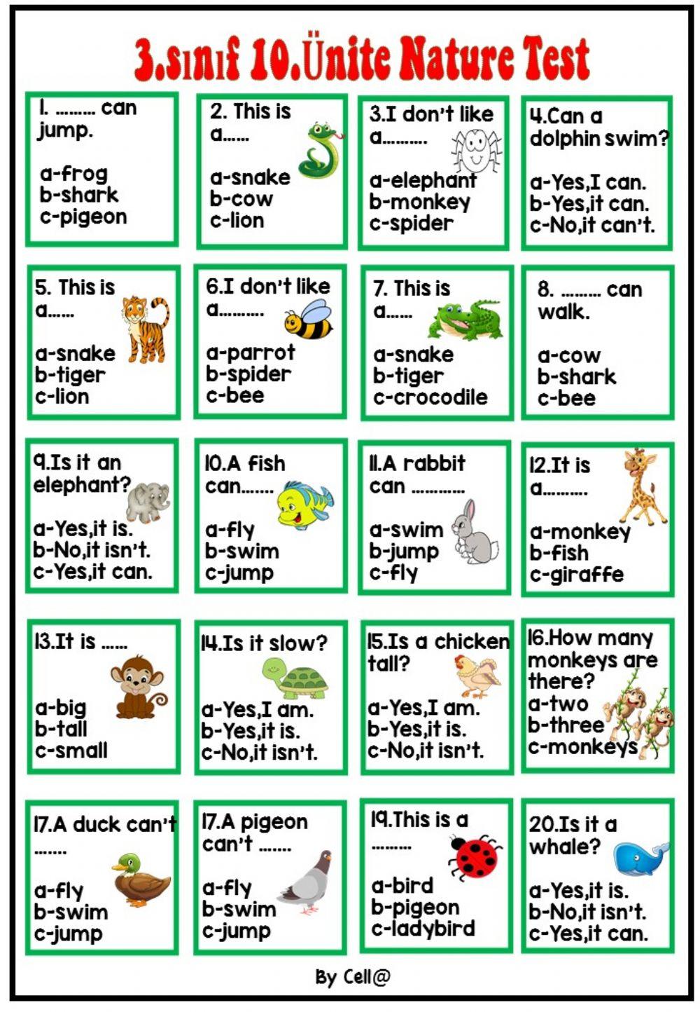 255032 | Nature Test | Elif Abacı | LiveWorksheets