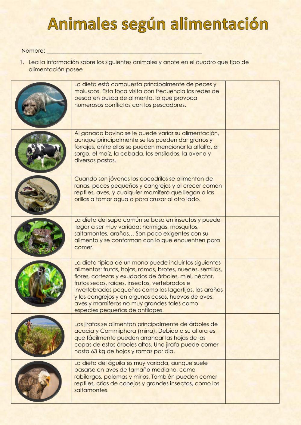 Animales Segun Su Alimentacion Activity Caracteristicas De Los – Bilarasa Animales Segun Su Alimentacion Activity Caracteristicas De Los – Bilarasa
