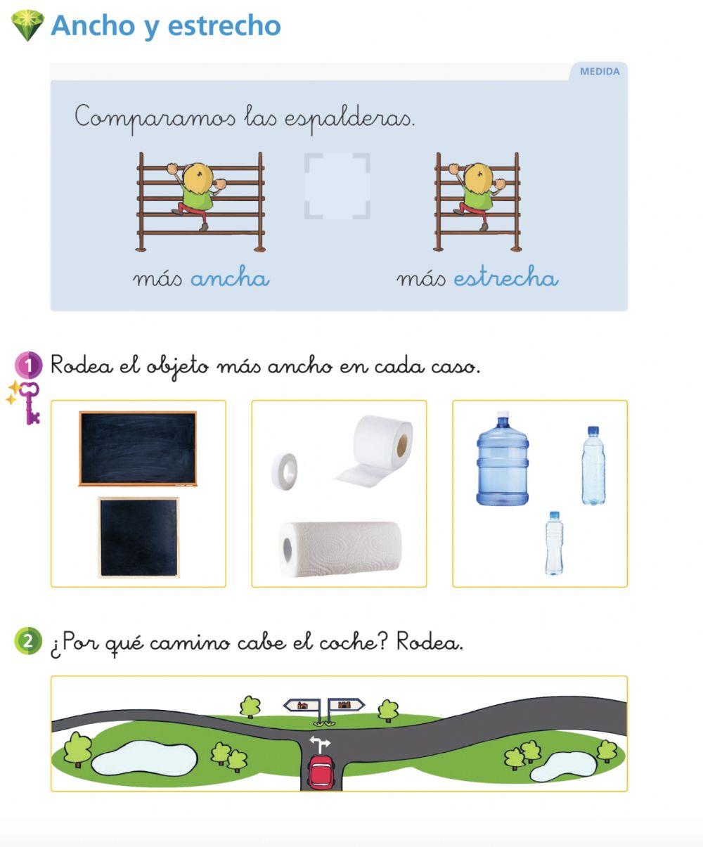 Ancho estrecho | Free Interactive Worksheets | 259527