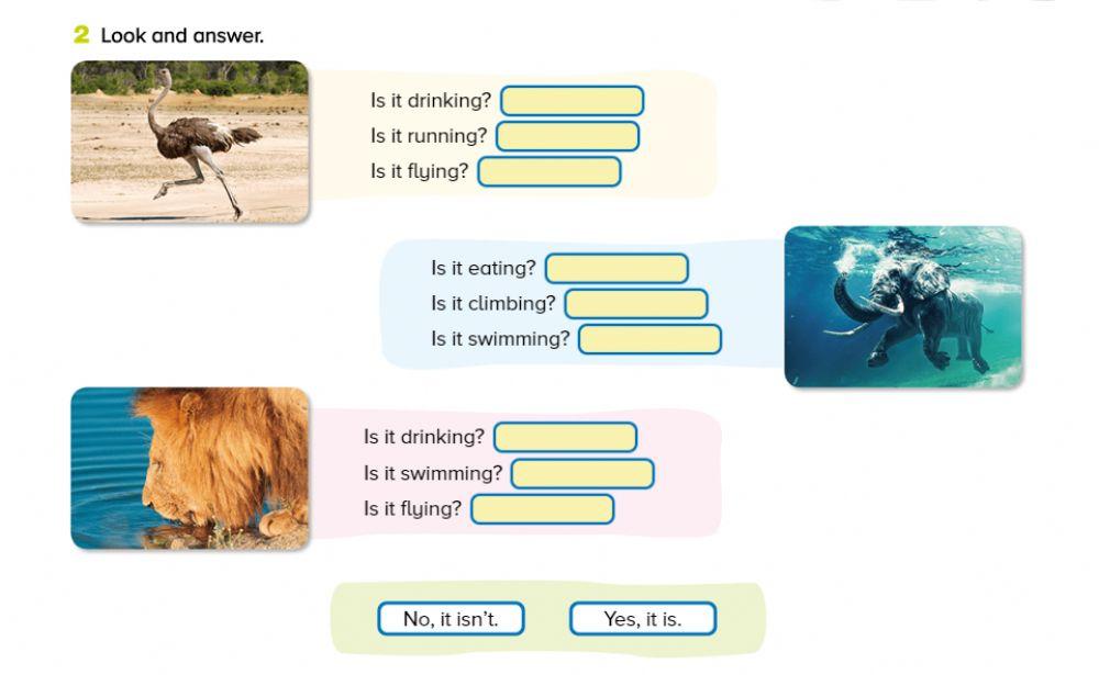 2.- Look and answer worksheet | Live Worksheets