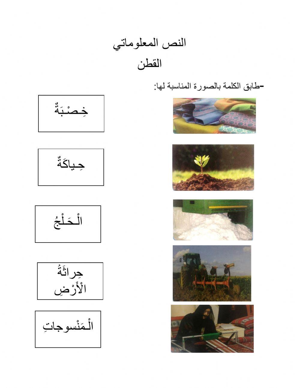 260076 | المفردات اللغوية | shamma saeed aljaberi