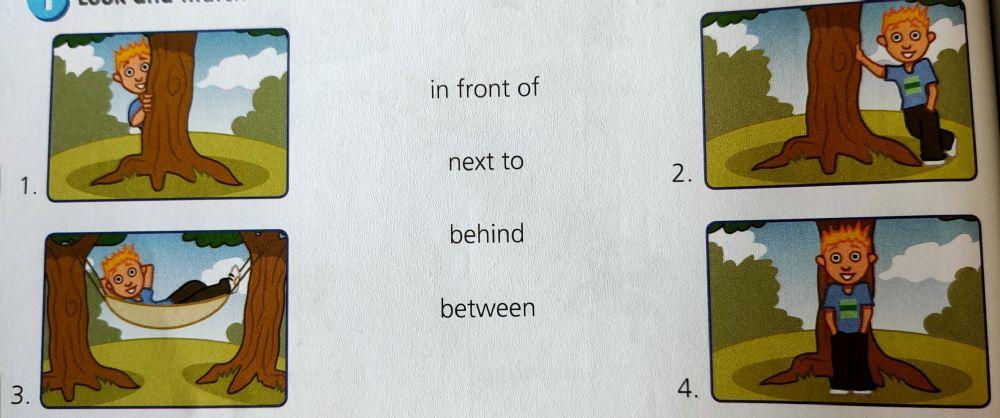 Look and match | Live Worksheets