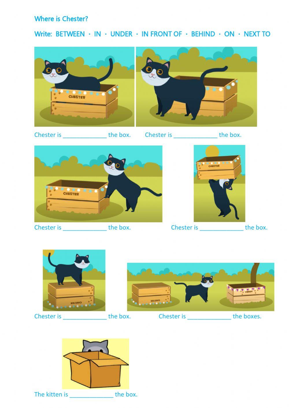 5812688 | Prepositions of place - Chester | Agnieszka_Kl