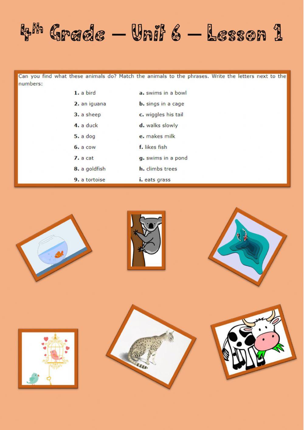 4th Grade, Unit 6, Animals worksheet | Live Worksheets