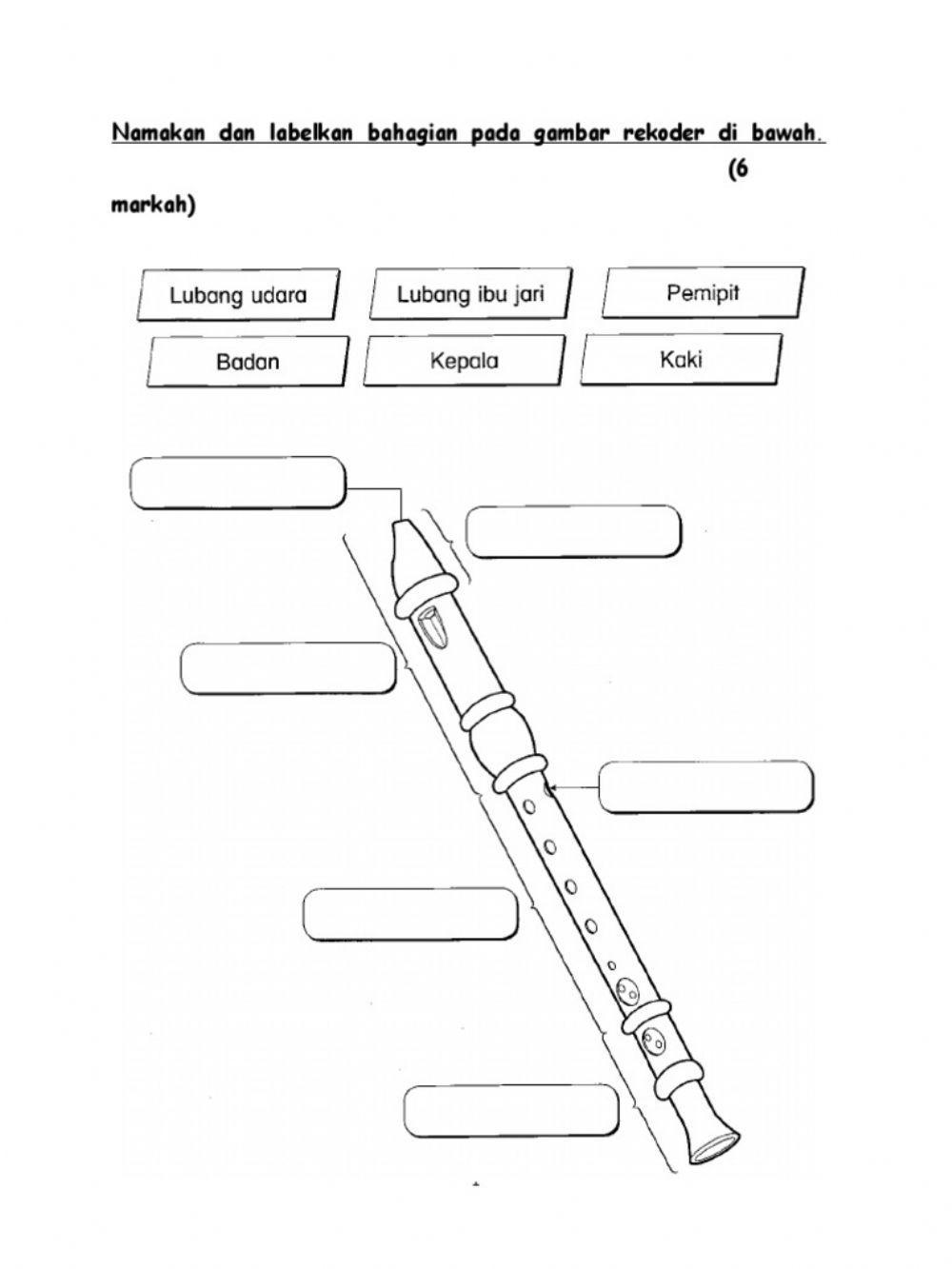 Rekoder 291637 | TEACHER_JANET | Live Worksheets