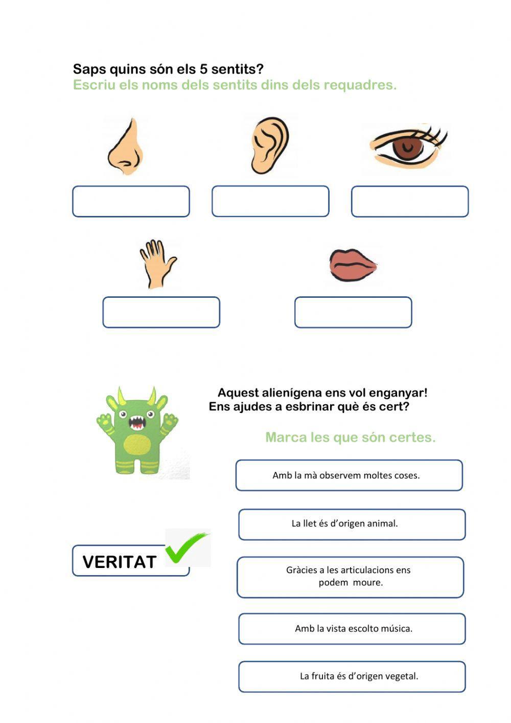 Els sentits 292615 | Ruthsalo | Live Worksheets