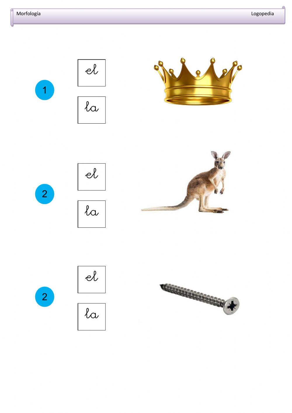 Concordar los artículos con las imágenes worksheet | Live Worksheets