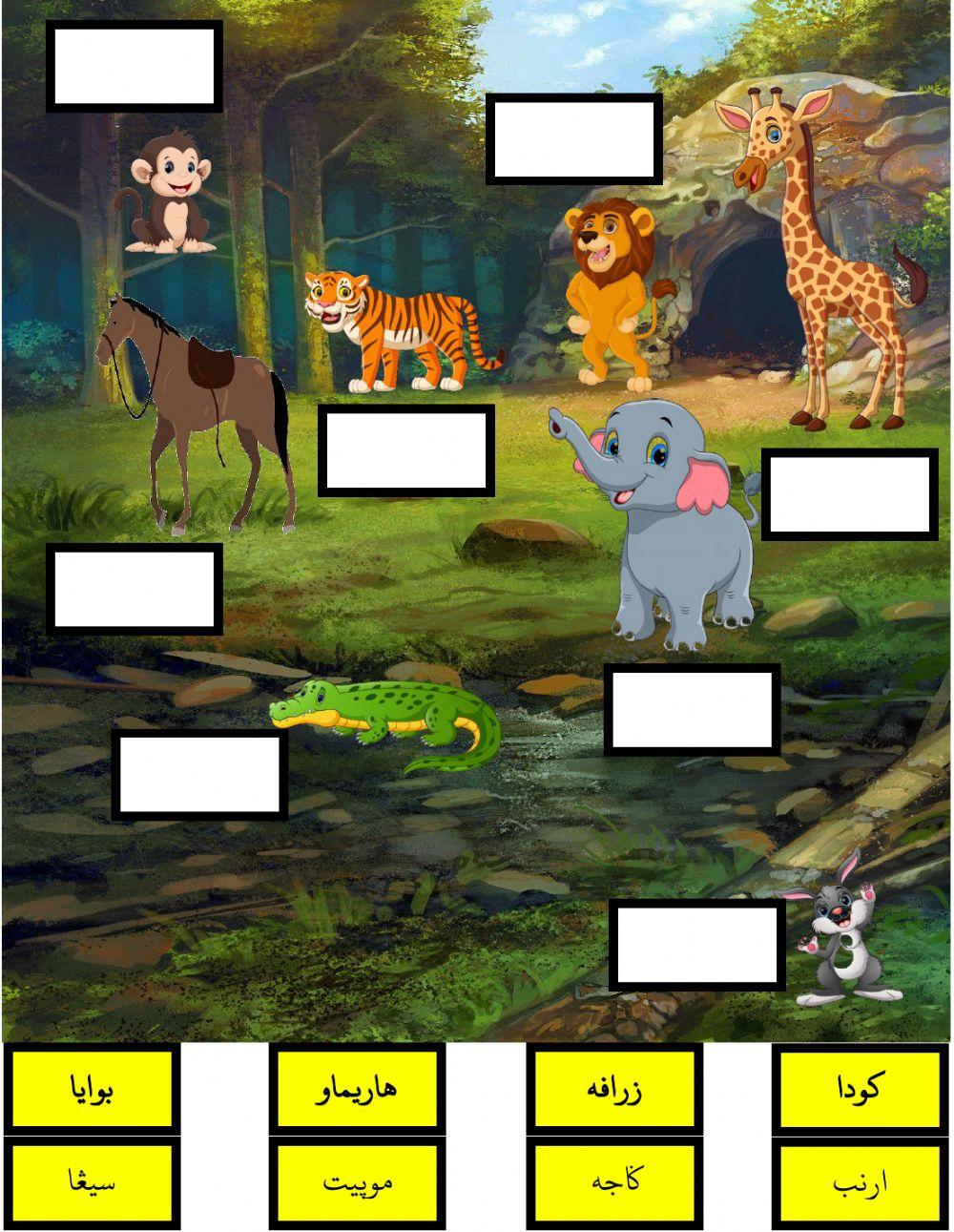 Mari mengenal haiwan worksheet | Live Worksheets