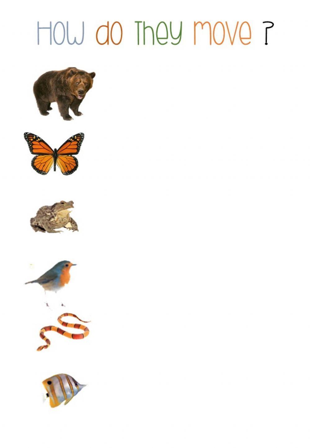 Animal movement… | Free Interactive Worksheets | 302077