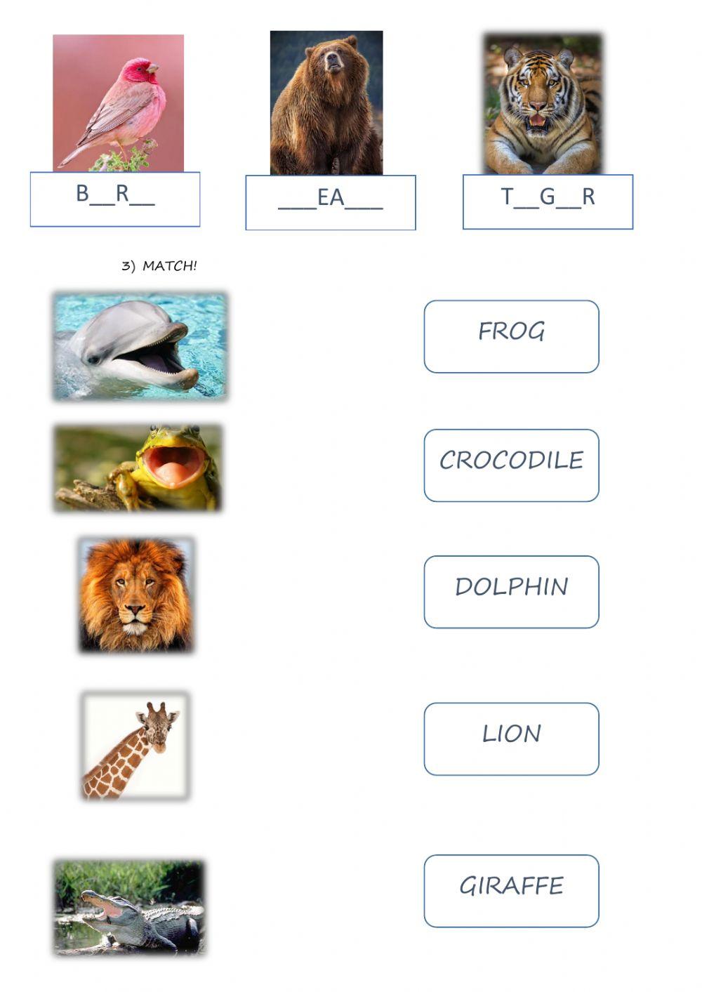 Animals online exercise for Kids | Live Worksheets