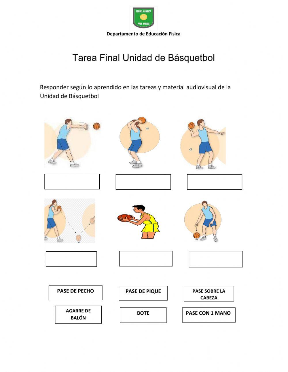 Tarea Final 5° Básico worksheet | Live Worksheets