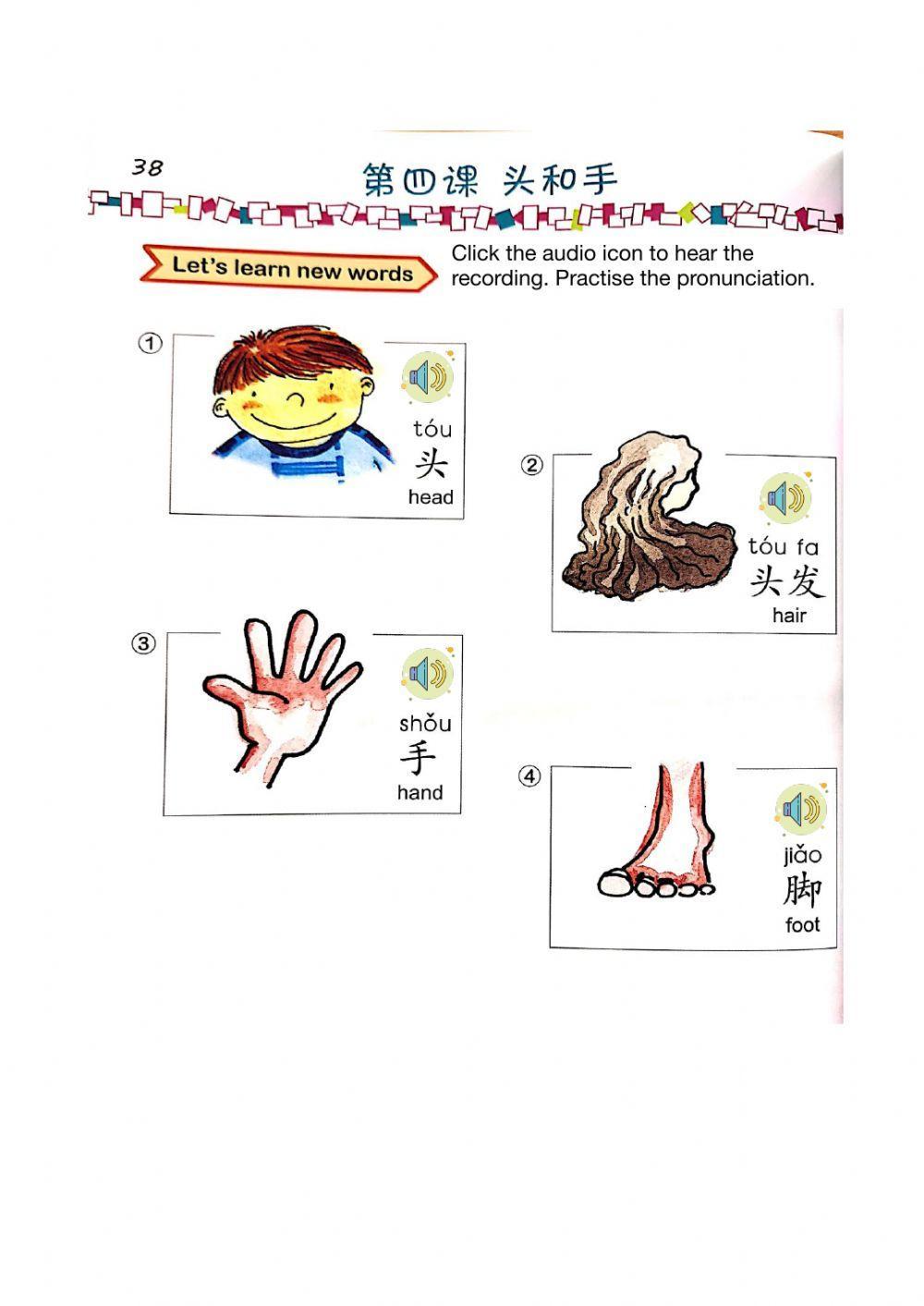 303515 | IP2 Head and hands | sindyt | LiveWorksheets