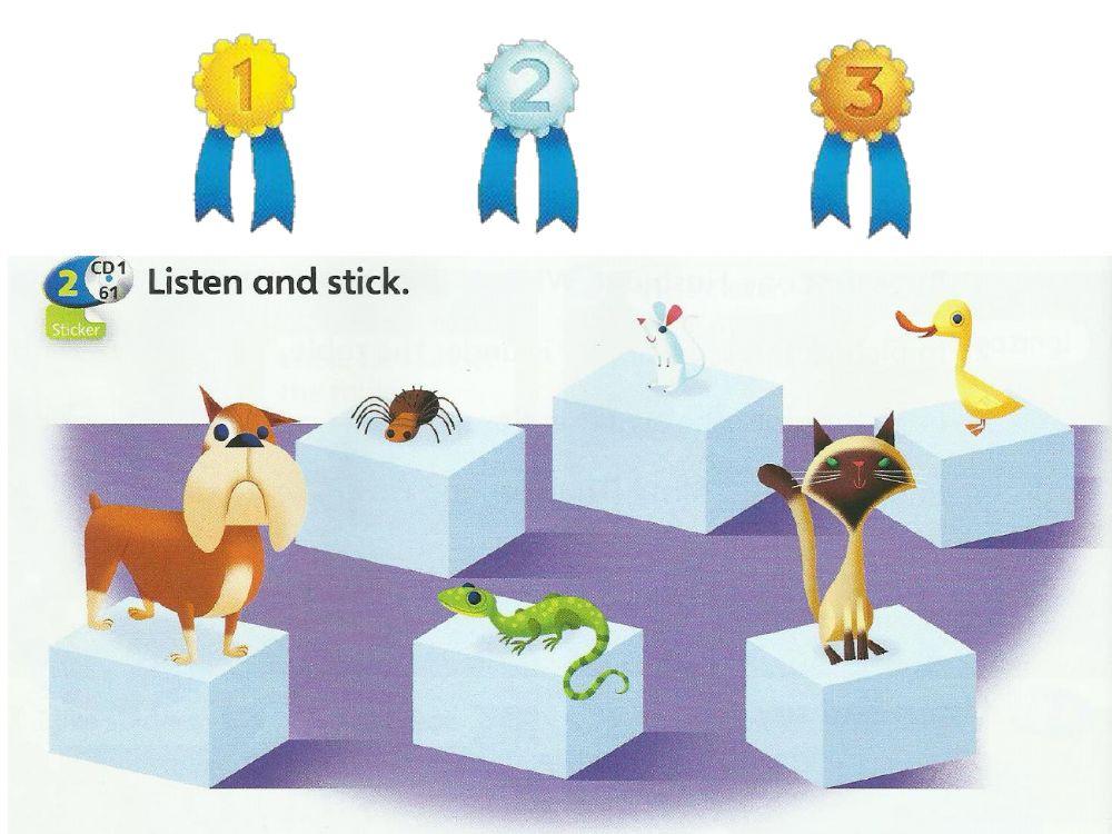 Pet Shows online activity | Live Worksheets