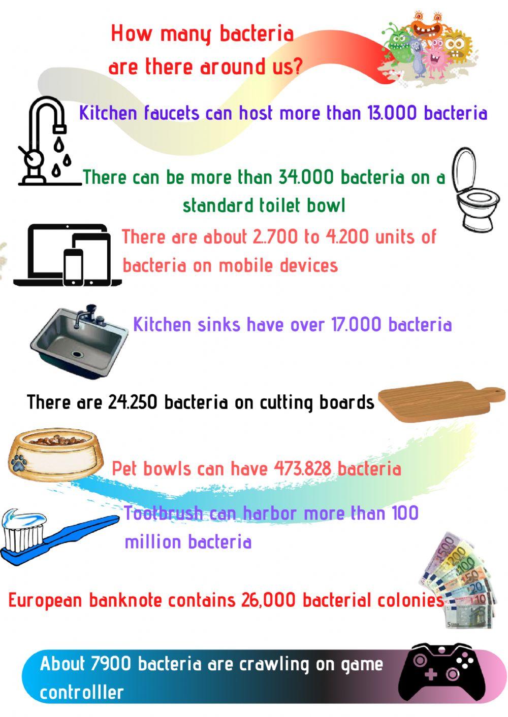 Bacteria | Sedat Güngörmez | Live Worksheets