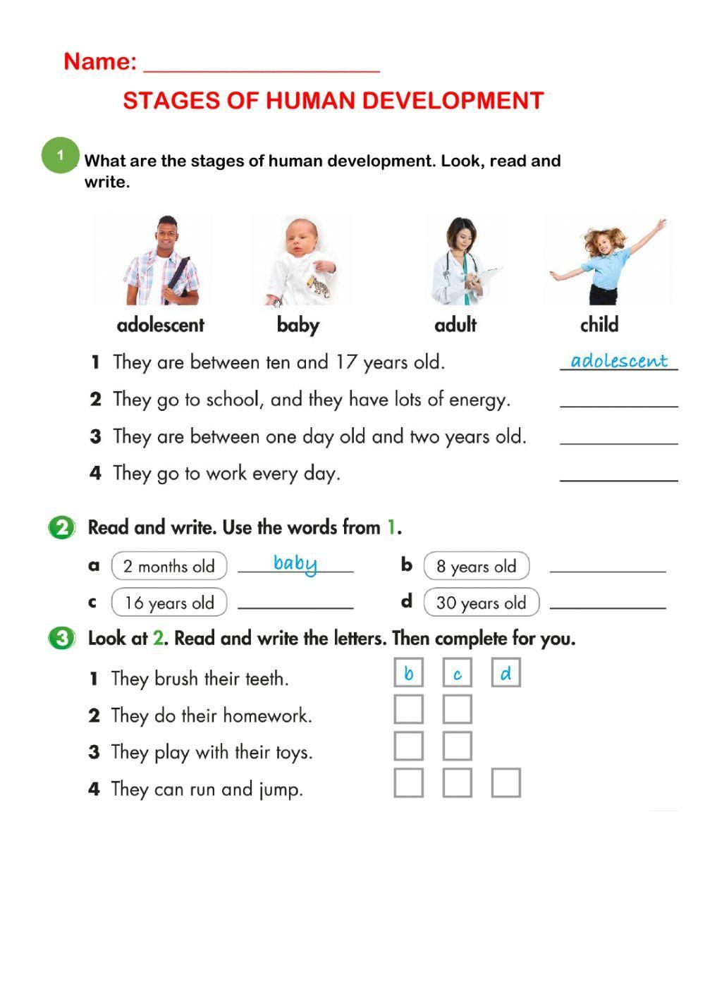 306442 Stages Of Human Development Ileana Dennisse 306442-stages-of-human-development-ileana-dennisse