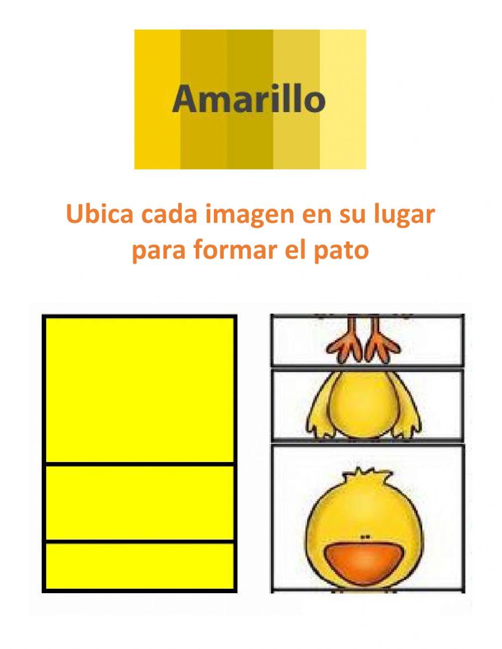 Amarillo worksheet | Live Worksheets