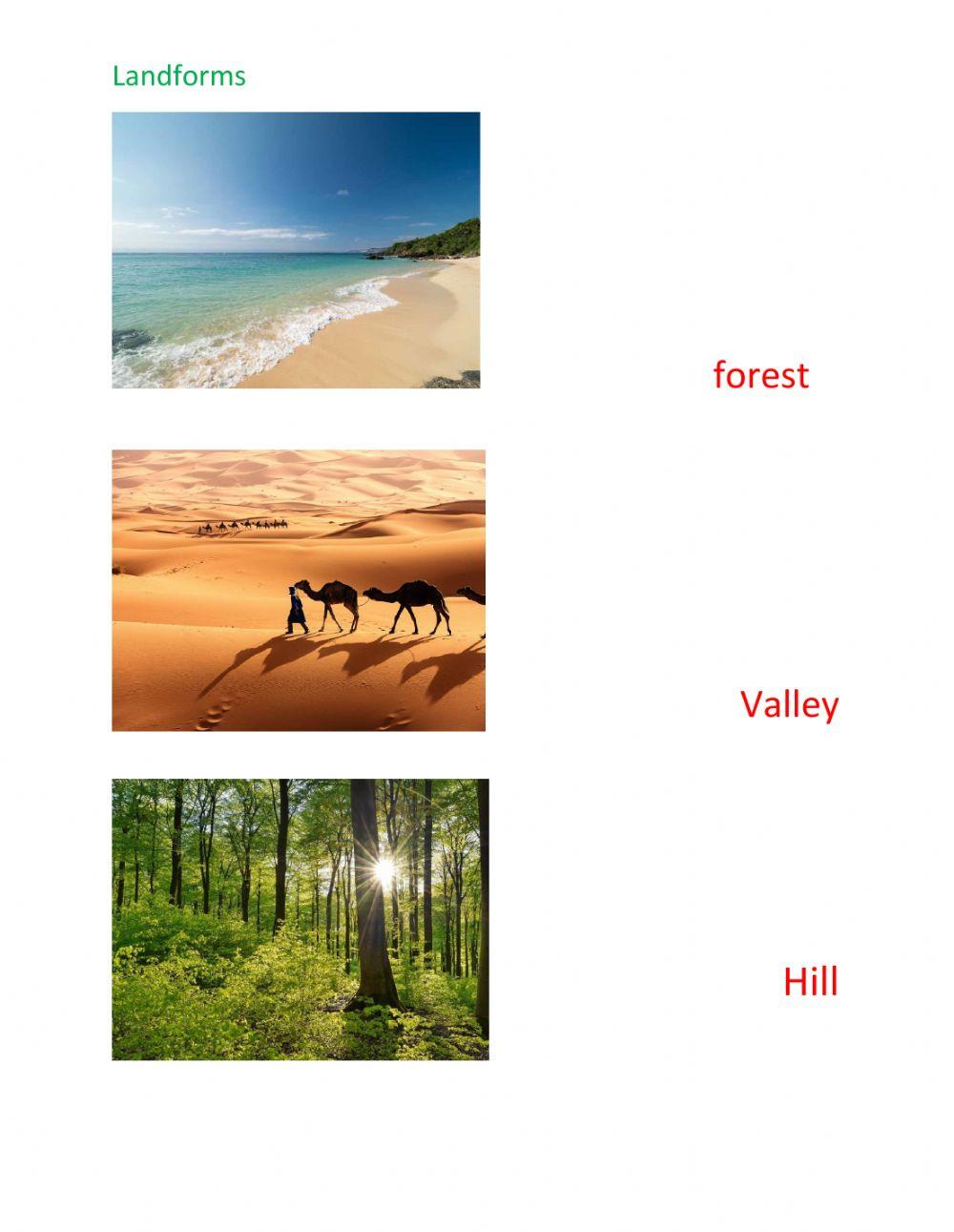 Landforms activity for fourth grade | Live Worksheets