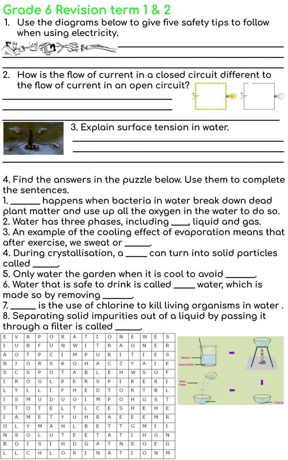 Grade 6 Revision term 1 & 2 exercise | Live Worksheets