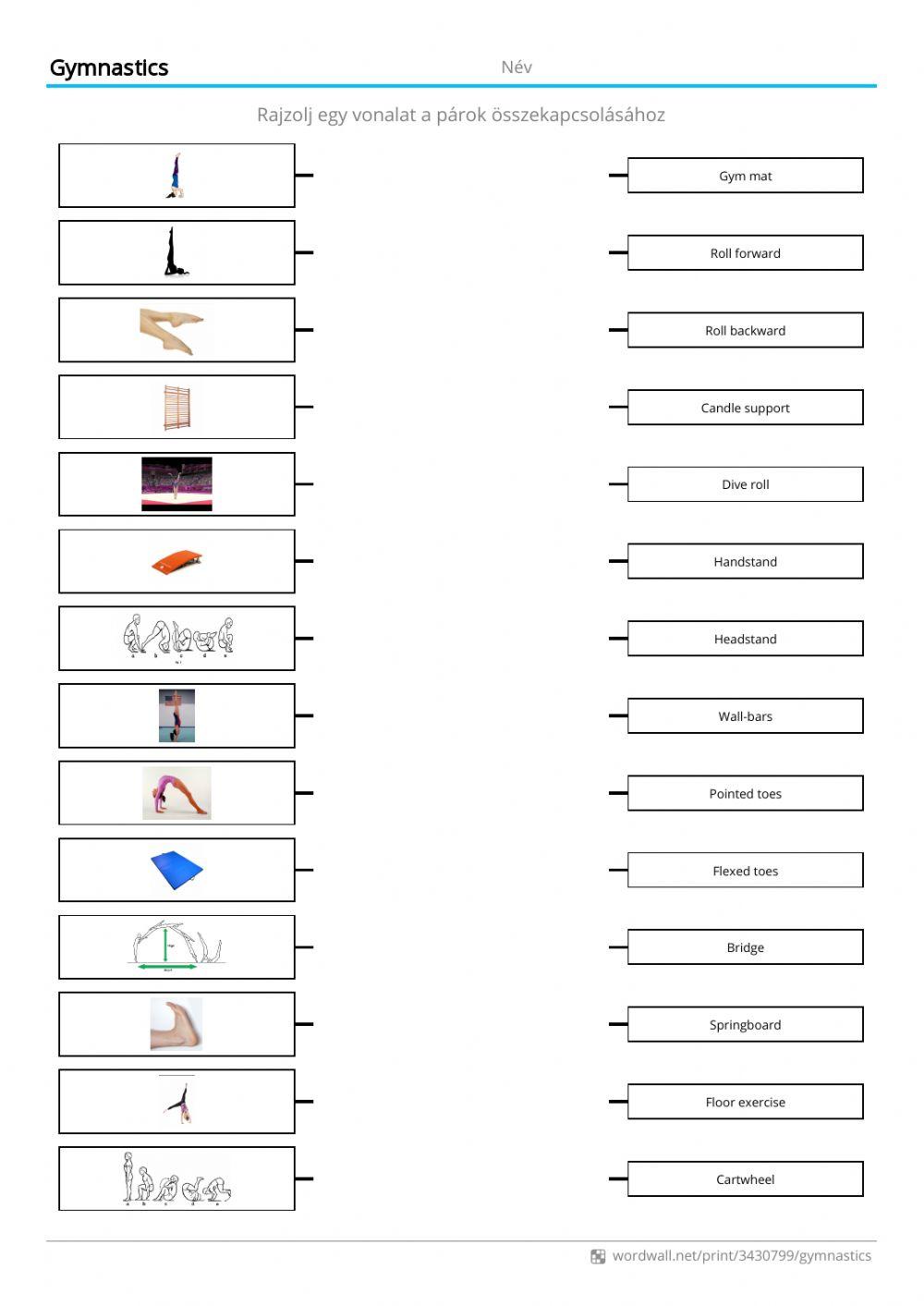 Gymnastics | Free Interactive Worksheets | 5912310